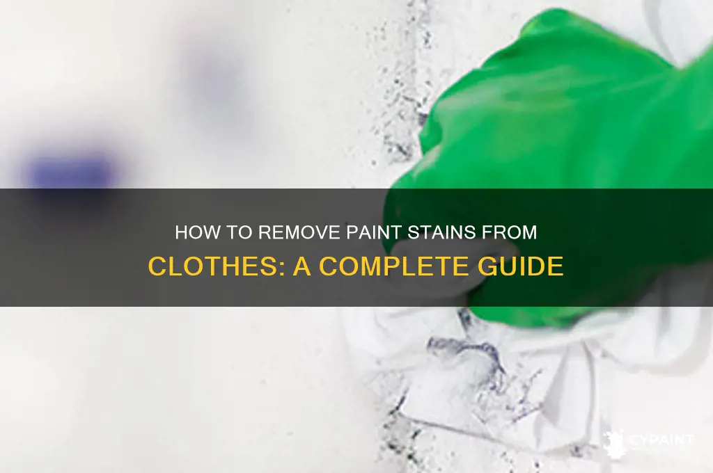 How To Remove Paint Stains From Clothes: A Complete Guide | CyPaint
