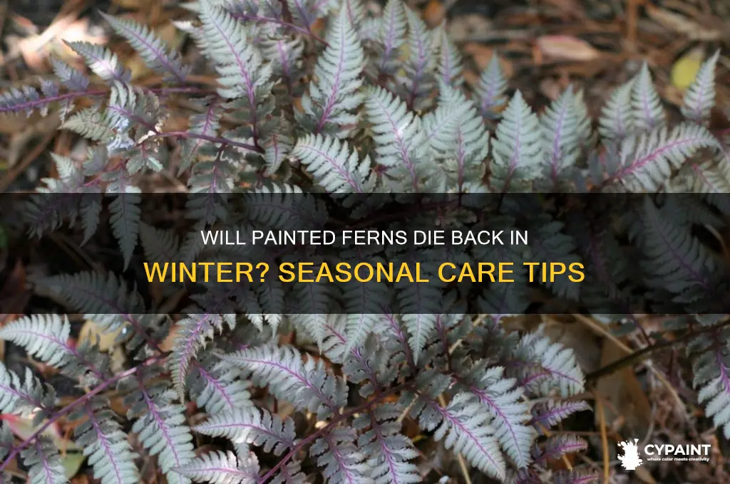 Will Painted Ferns Die Back In Winter? Seasonal Care Tips | CyPaint