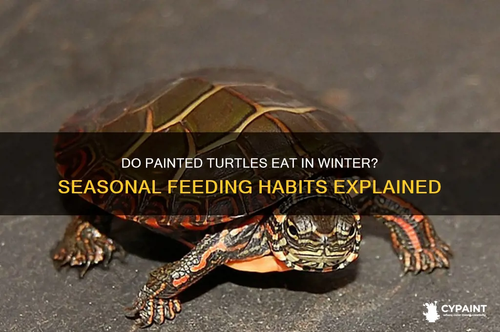 Do Painted Turtles Eat In Winter? Seasonal Feeding Habits Explained ...