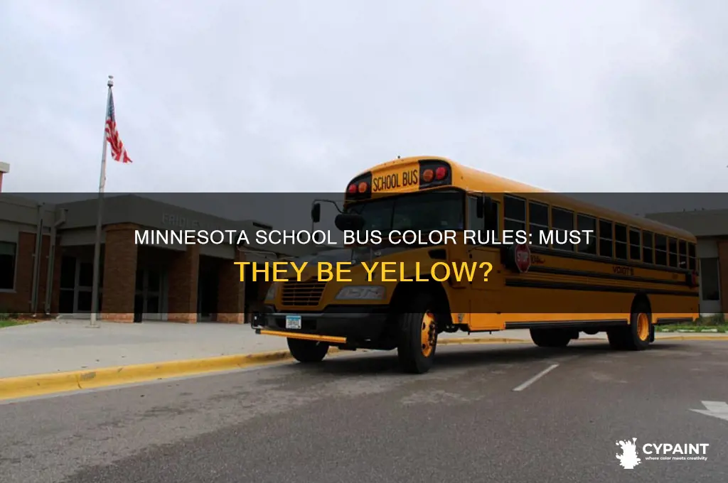 Minnesota School Bus Color Rules: Must They Be Yellow? | CyPaint