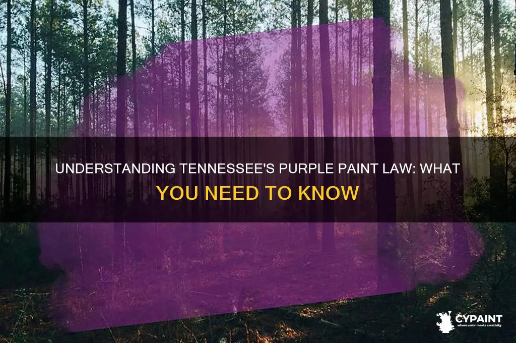 Understanding Tennessee's Purple Paint Law: What You Need To Know | CyPaint