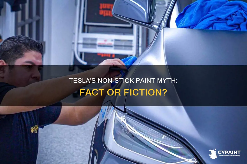 Tesla's Non-Stick Paint Myth: Fact Or Fiction? | CyPaint