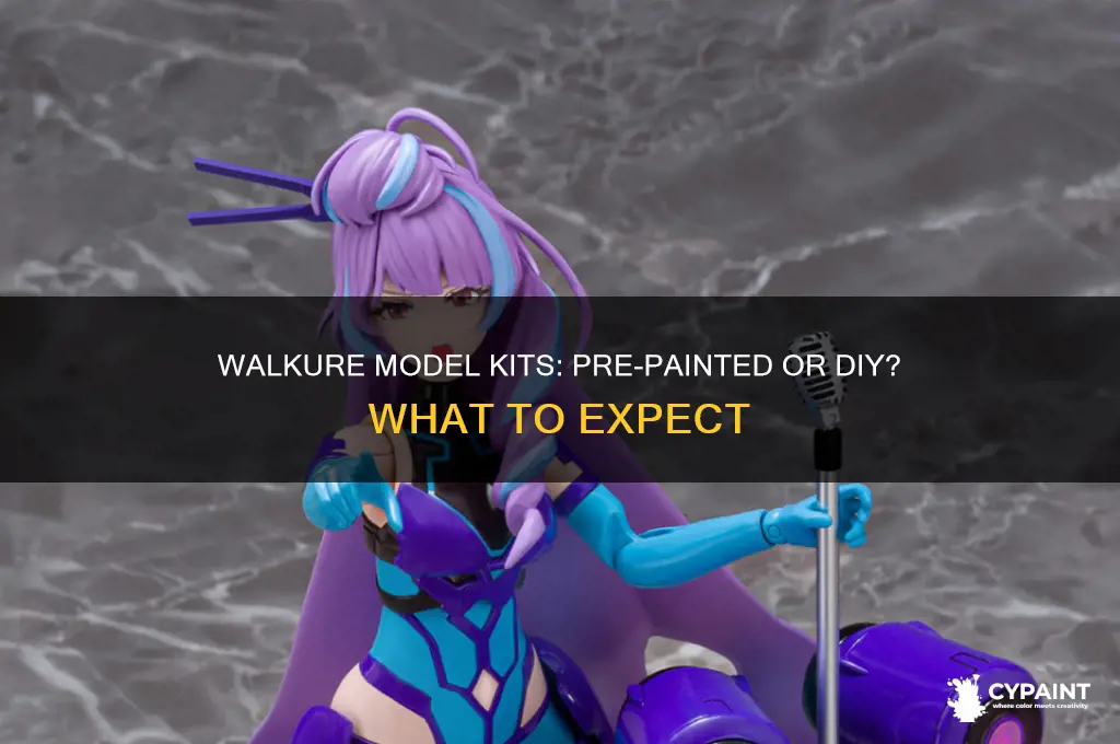 Walkure Model Kits: Pre-Painted Or Diy? What To Expect | CyPaint