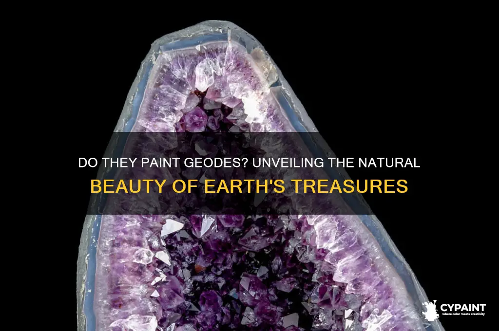 Do They Paint Geodes? Unveiling The Natural Beauty Of Earth's Treasures ...