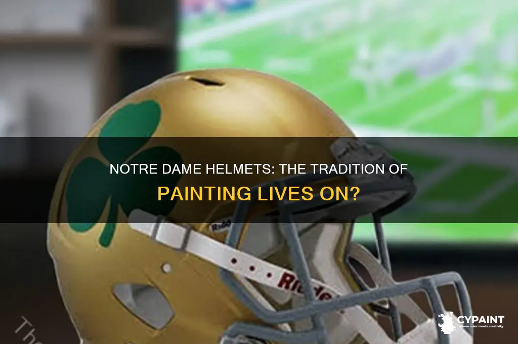 Notre Dame Helmets: The Tradition Of Painting Lives On? | CyPaint