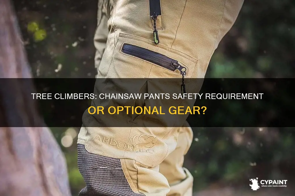 Tree Climbers: Chainsaw Pants Safety Requirement Or Optional Gear ...