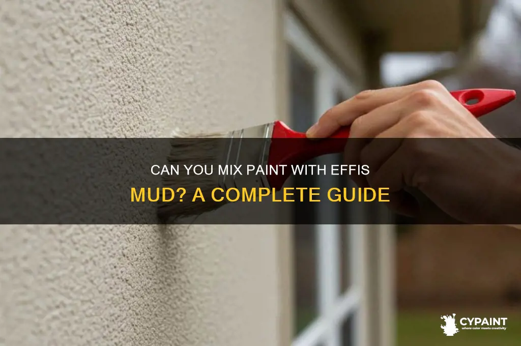 Can You Mix Paint With Effis Mud? A Complete Guide | CyPaint