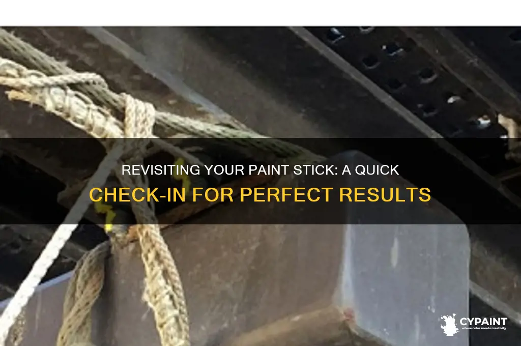 Revisiting Your Paint Stick: A Quick Check-In For Perfect Results | CyPaint