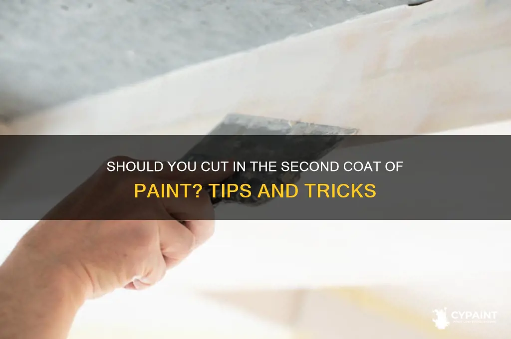 Should You Cut In The Second Coat Of Paint? Tips And Tricks | CyPaint