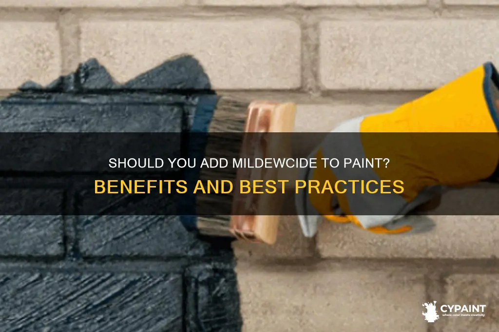 Should You Add Mildewcide To Paint? Benefits And Best Practices | CyPaint