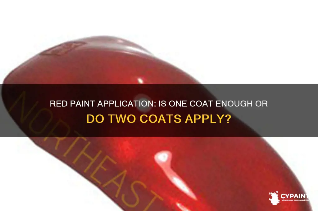 Red Paint Application: Is One Coat Enough Or Do Two Coats Apply? | CyPaint
