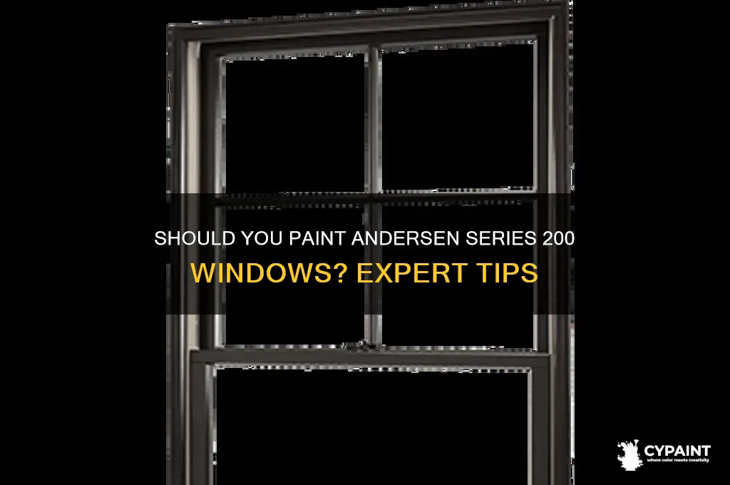 Should You Paint Andersen Series 200 Windows? Expert Tips | CyPaint
