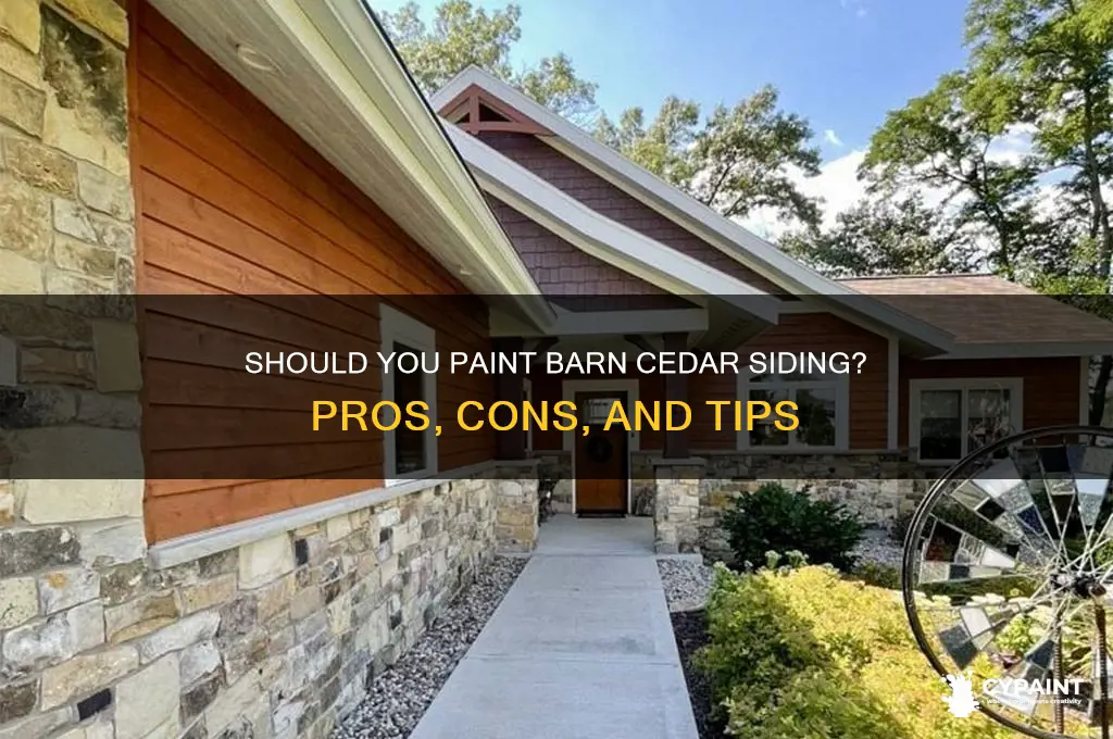 Should You Paint Barn Cedar Siding? Pros, Cons, And Tips | CyPaint