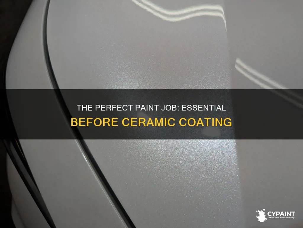 The Perfect Paint Job: Essential Before Ceramic Coating | CyPaint