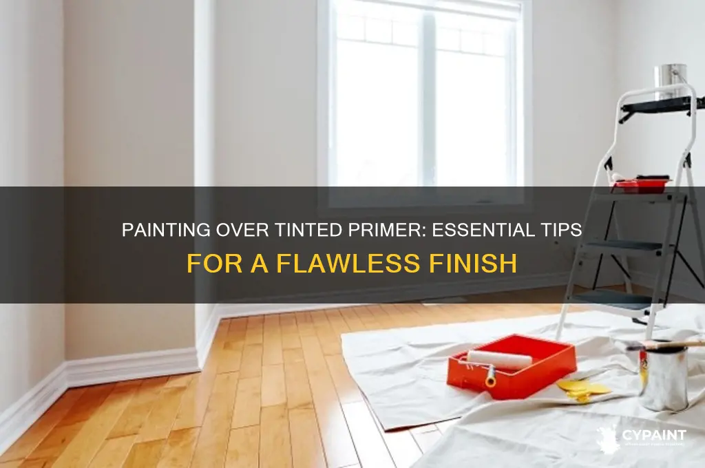 Painting Over Tinted Primer: Essential Tips For A Flawless Finish | CyPaint