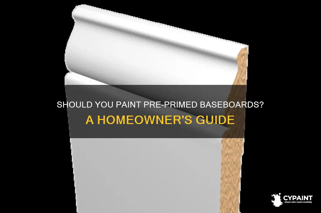 Should You Paint Pre-Primed Baseboards? A Homeowner's Guide | CyPaint
