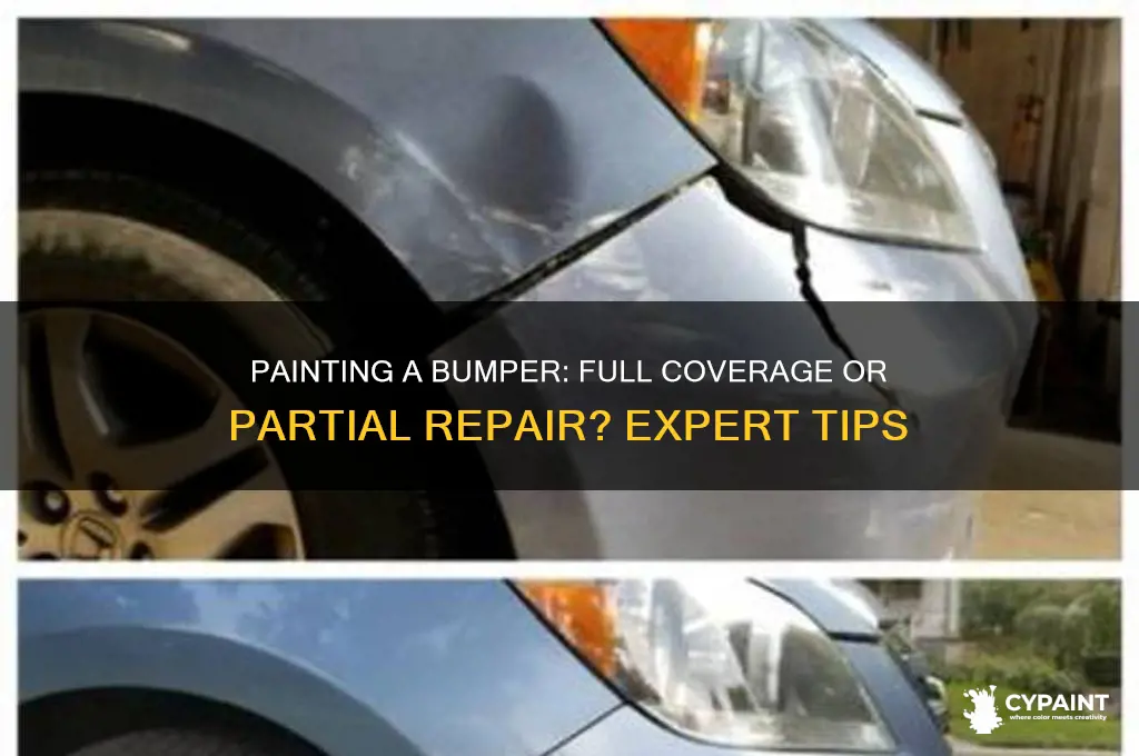 Painting A Bumper: Full Coverage Or Partial Repair? Expert Tips | CyPaint