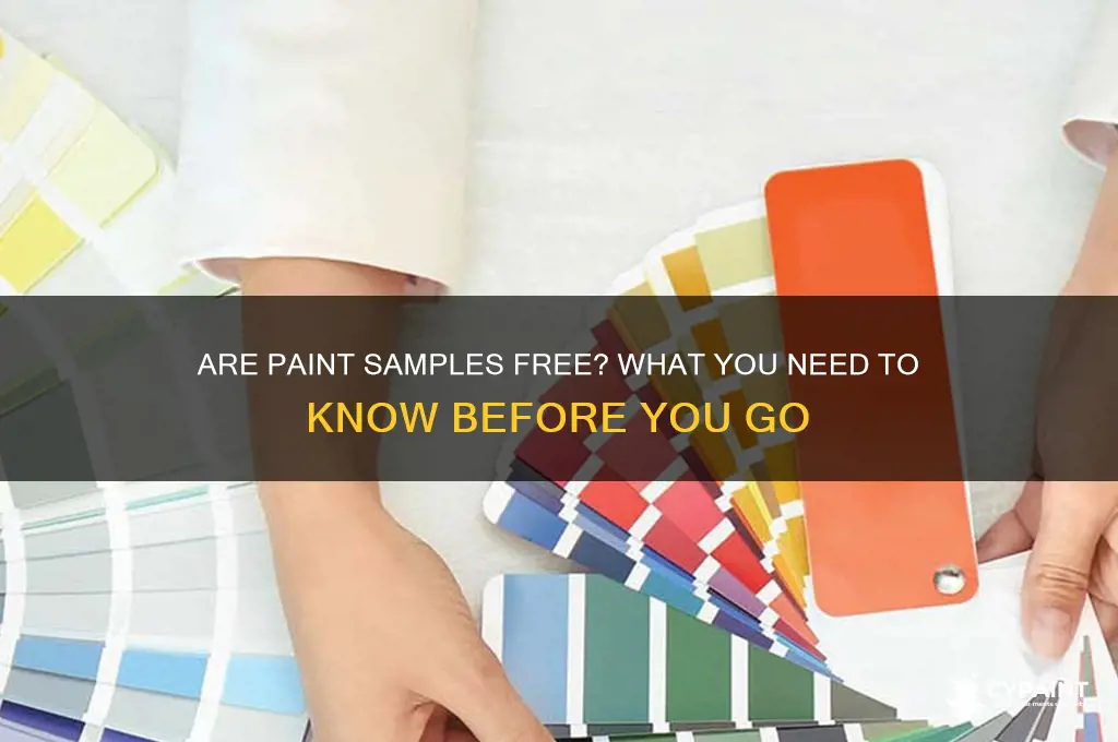 Are Paint Samples Free? What You Need To Know Before You Go | CyPaint
