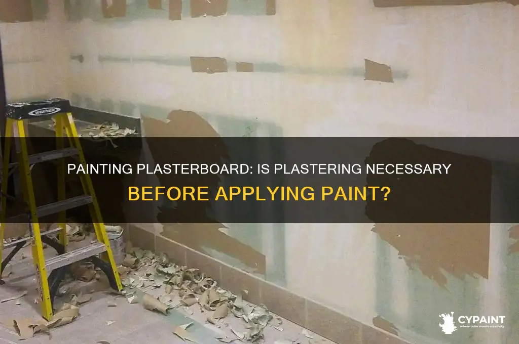 Painting Plasterboard: Is Plastering Necessary Before Applying Paint ...