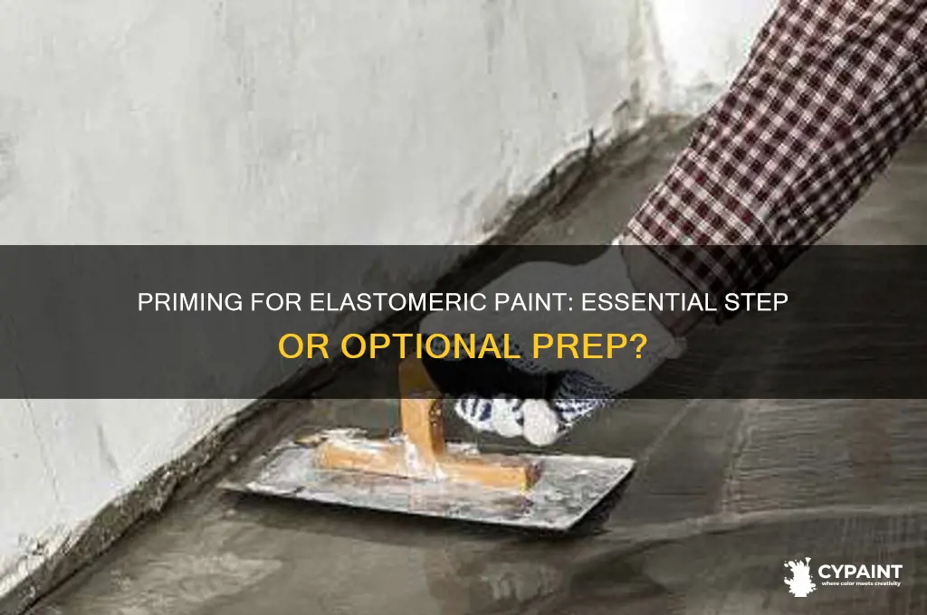 Priming For Elastomeric Paint: Essential Step Or Optional Prep? | CyPaint