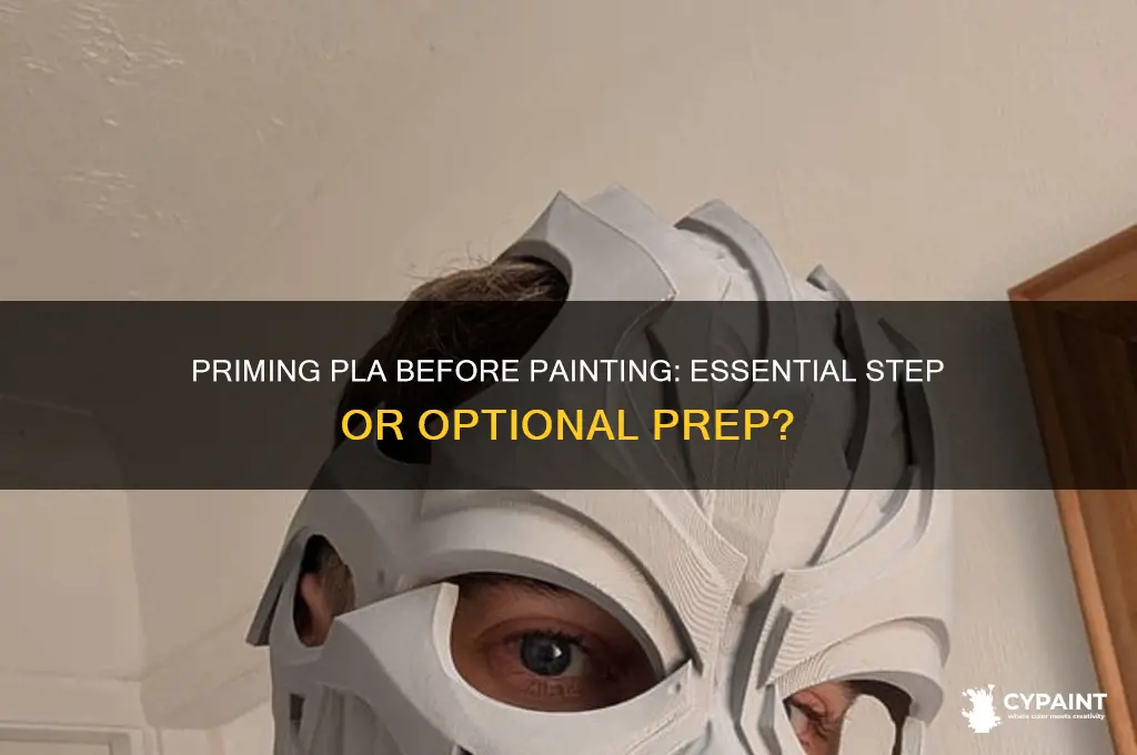 Priming Pla Before Painting: Essential Step Or Optional Prep? | CyPaint
