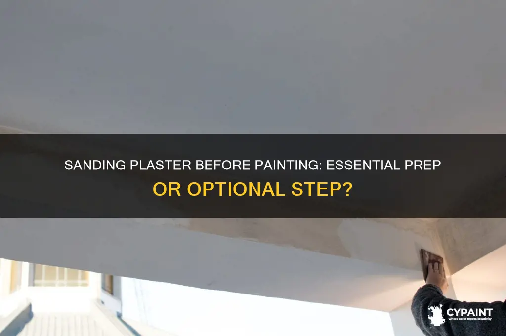 Sanding Plaster Before Painting: Essential Prep Or Optional Step? | CyPaint
