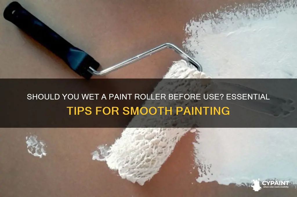 Should You Wet A Paint Roller Before Use? Essential Tips For Smooth ...