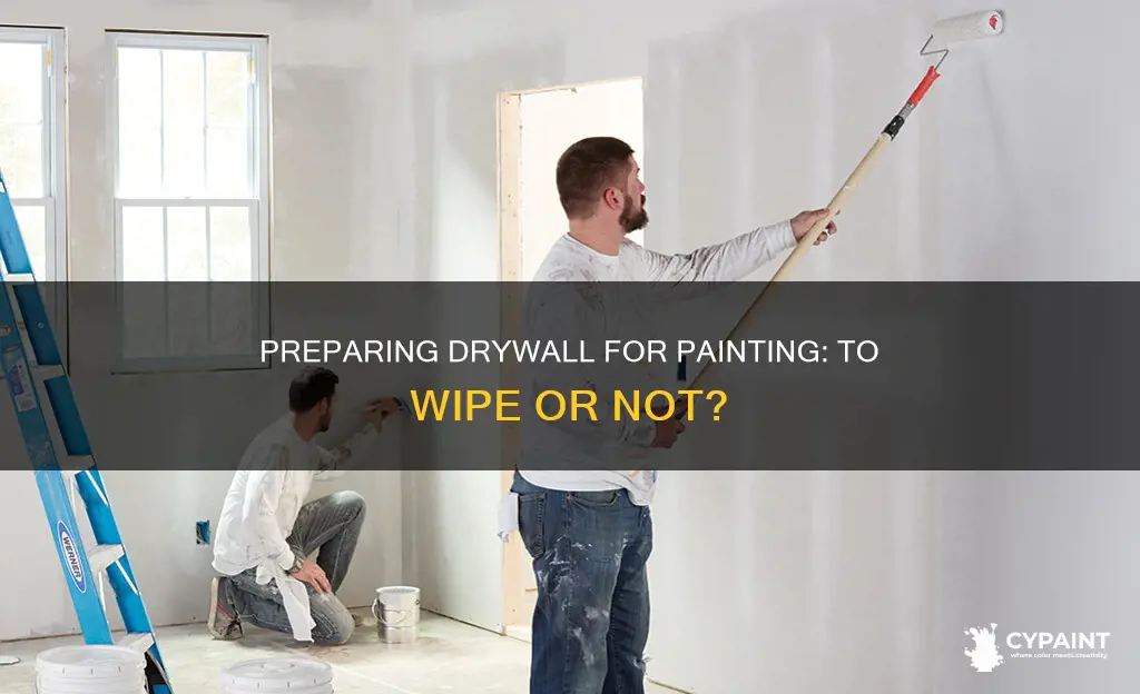 Preparing Drywall For Painting: To Wipe Or Not? | CyPaint