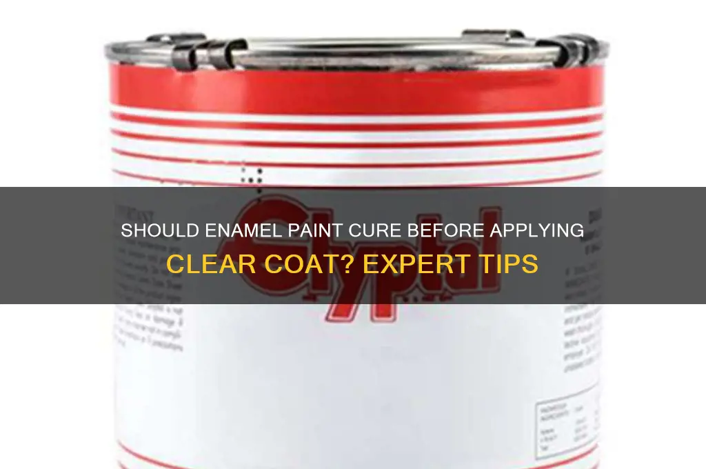 Should Enamel Paint Cure Before Applying Clear Coat? Expert Tips | CyPaint