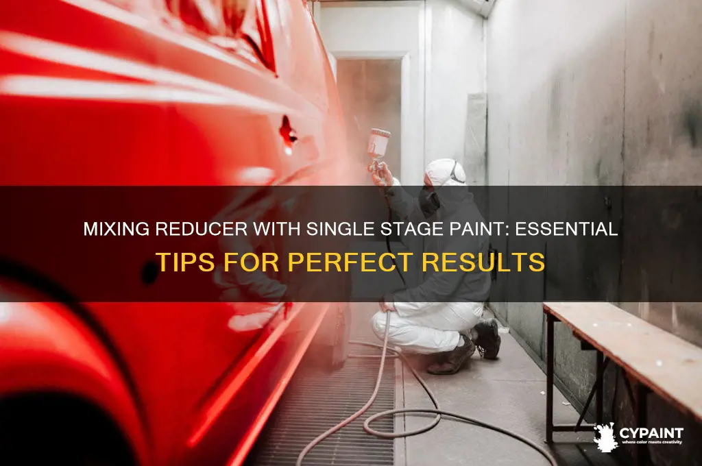 Mixing Reducer With Single Stage Paint: Essential Tips For Perfect ...