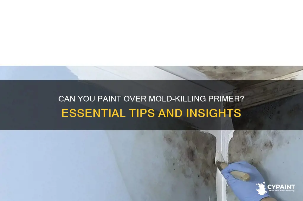 Can You Paint Over Mold-Killing Primer? Essential Tips And Insights ...