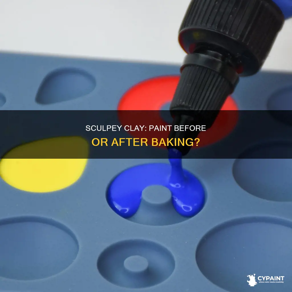 Sculpey Clay: Paint Before Or After Baking? | CyPaint