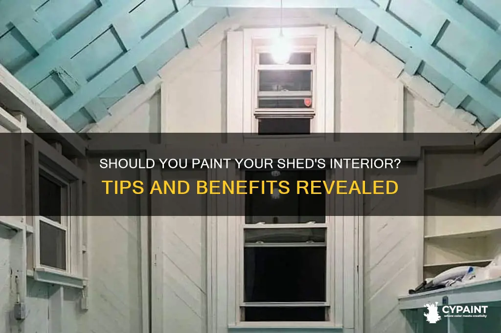 Should You Paint Your Shed's Interior? Tips And Benefits Revealed | CyPaint
