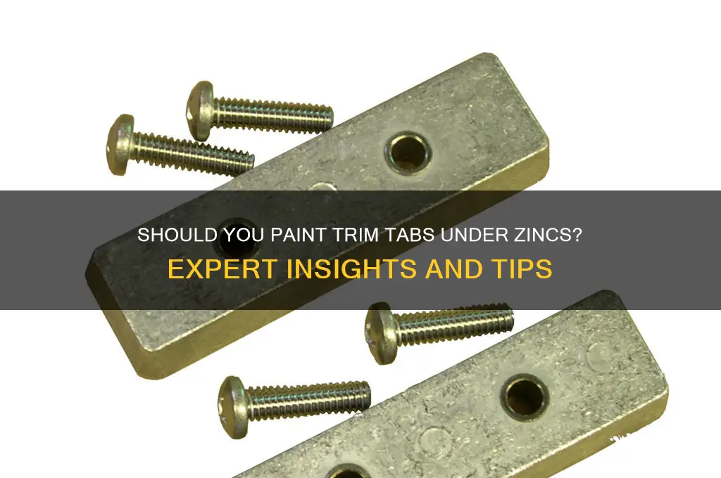 Should You Paint Trim Tabs Under Zincs? Expert Insights And Tips | CyPaint