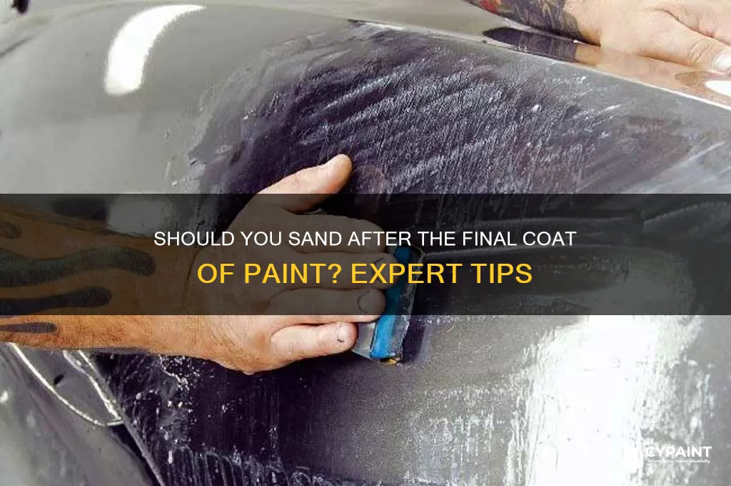 Should You Sand After The Final Coat Of Paint? Expert Tips | CyPaint