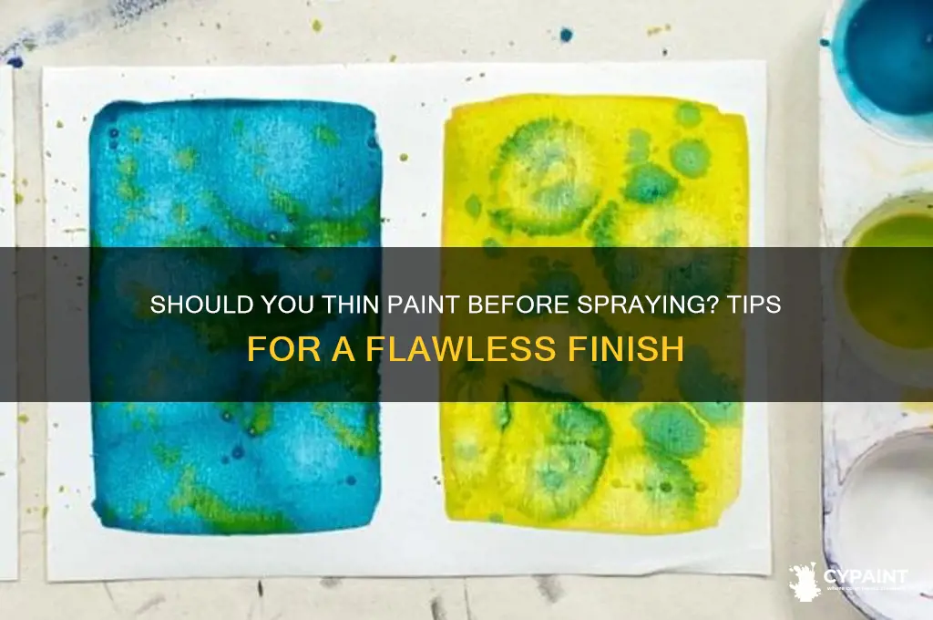 Should You Thin Paint Before Spraying? Tips For A Flawless Finish | CyPaint