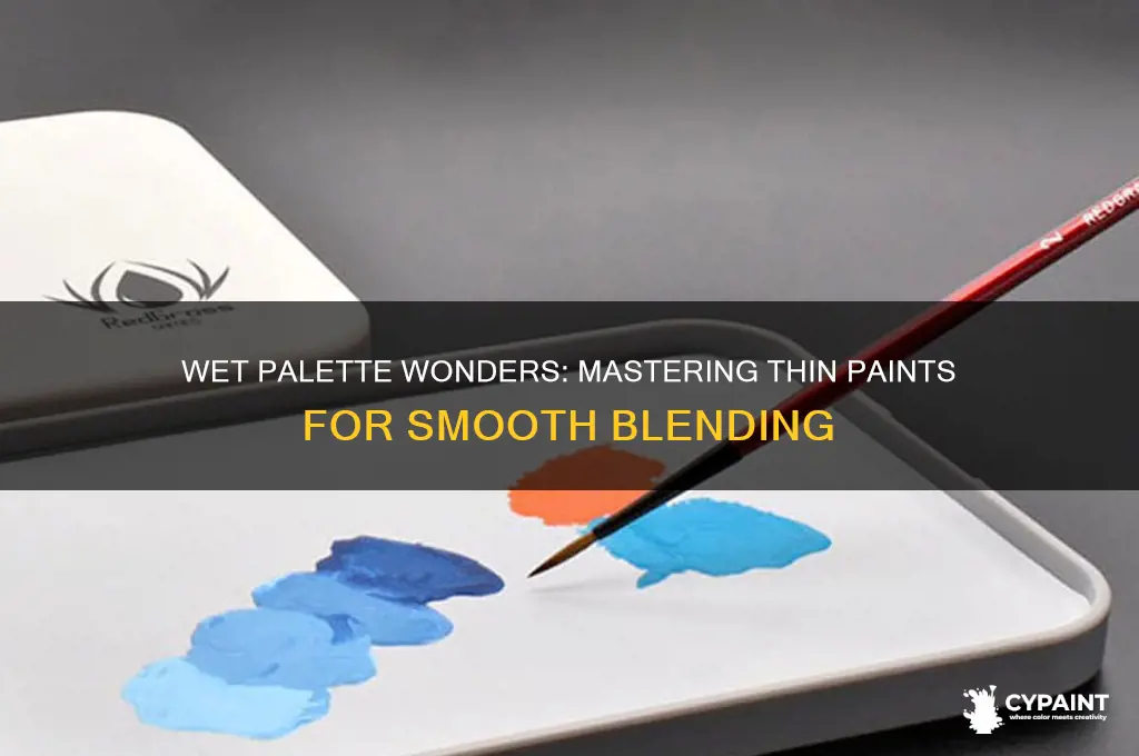 Wet Palette Wonders: Mastering Thin Paints For Smooth Blending | CyPaint