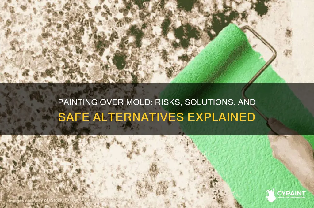 Painting Over Mold: Risks, Solutions, And Safe Alternatives Explained ...