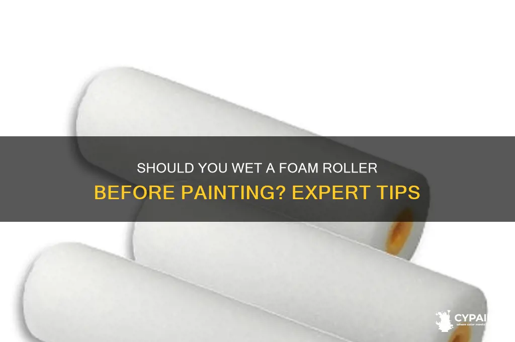 Should You Wet A Foam Roller Before Painting? Expert Tips | CyPaint