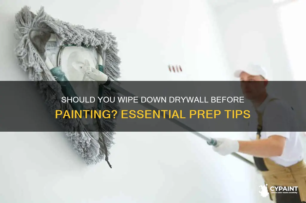 Should You Wipe Down Drywall Before Painting? Essential Prep Tips | CyPaint