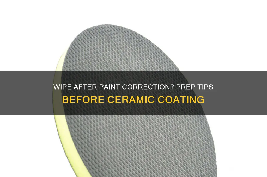 Wipe After Paint Correction? Prep Tips Before Ceramic Coating | CyPaint