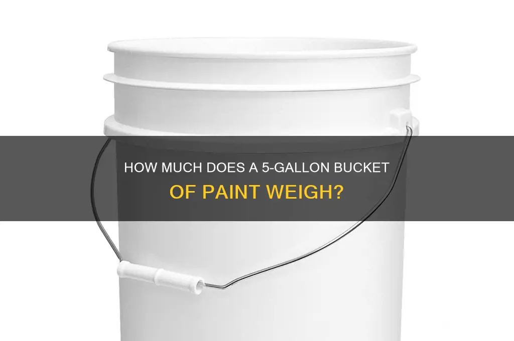 How Much Does A 5-Gallon Bucket Of Paint Weigh? | CyPaint