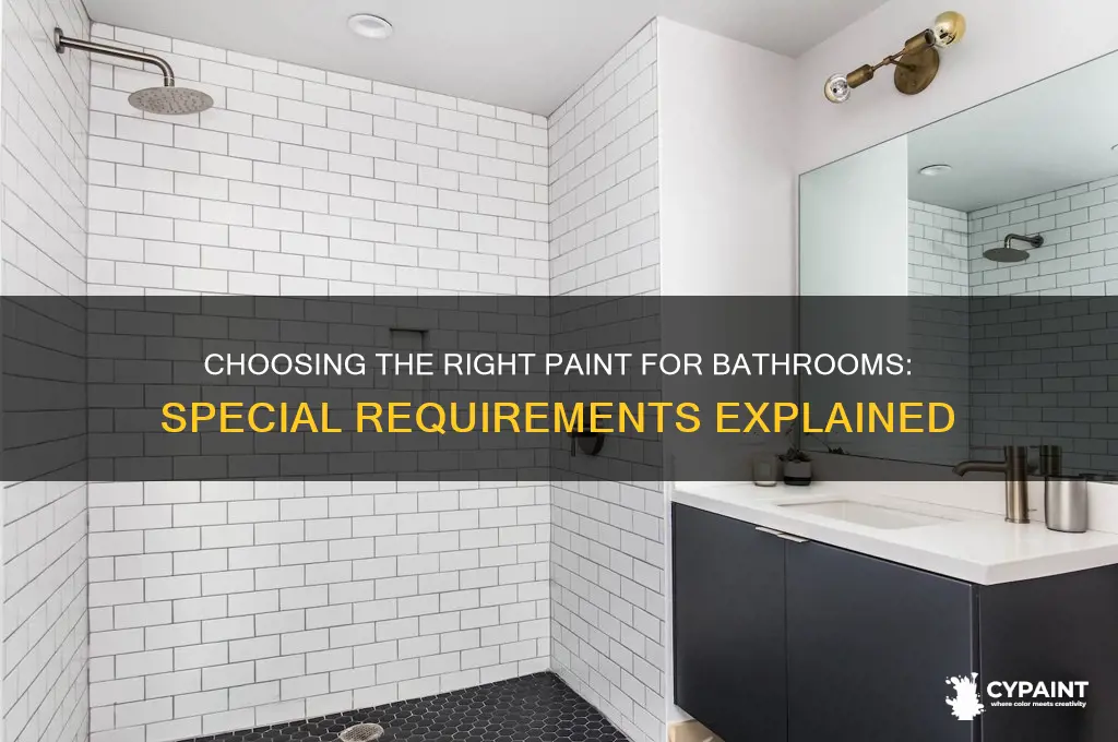 Choosing The Right Paint For Bathrooms: Special Requirements Explained ...