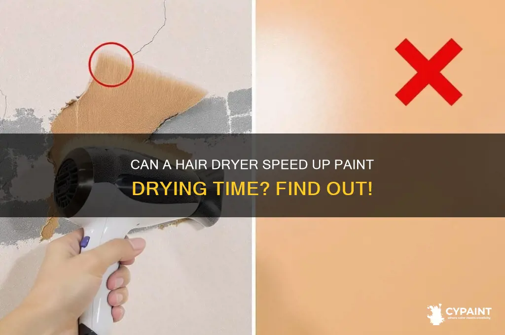 Can A Hair Dryer Speed Up Paint Drying Time? Find Out! | CyPaint