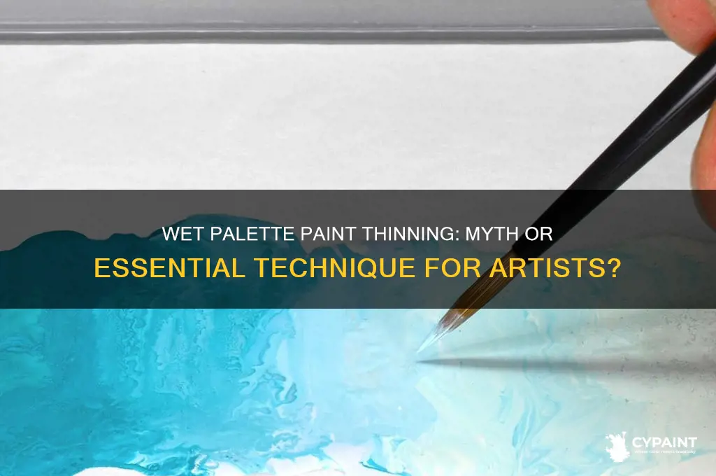 Wet Palette Paint Thinning: Myth Or Essential Technique For Artists ...