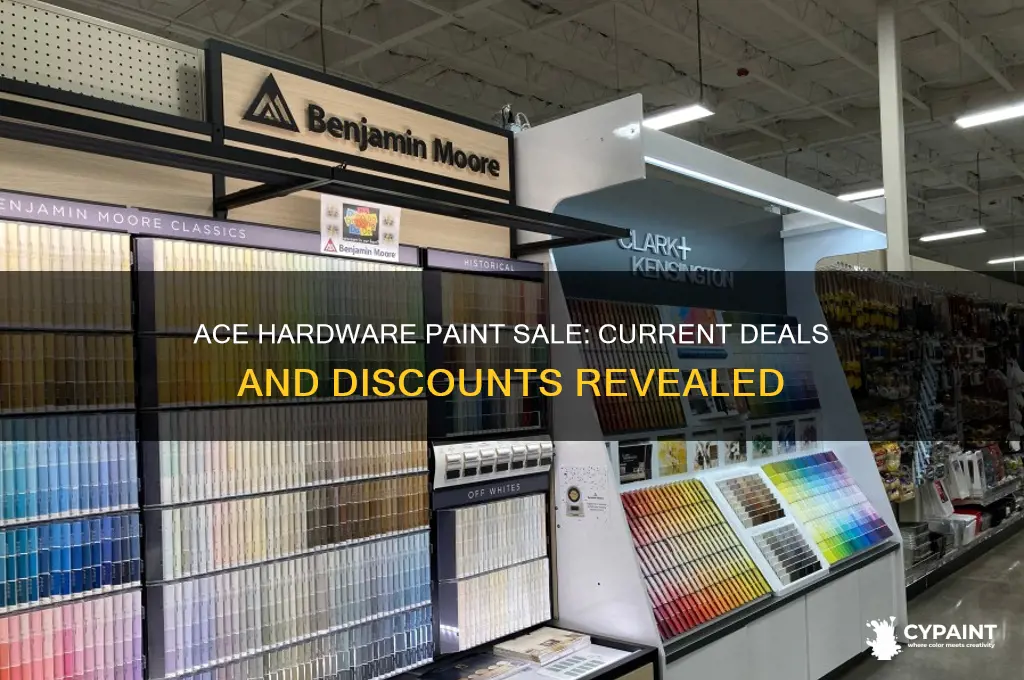 Ace Hardware Paint Sale: Current Deals And Discounts Revealed | CyPaint
