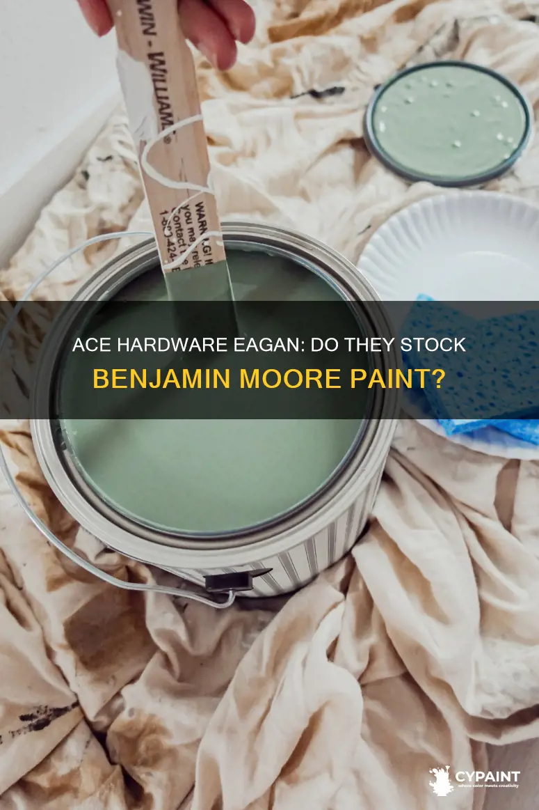Ace Hardware Eagan: Do They Stock Benjamin Moore Paint? | CyPaint