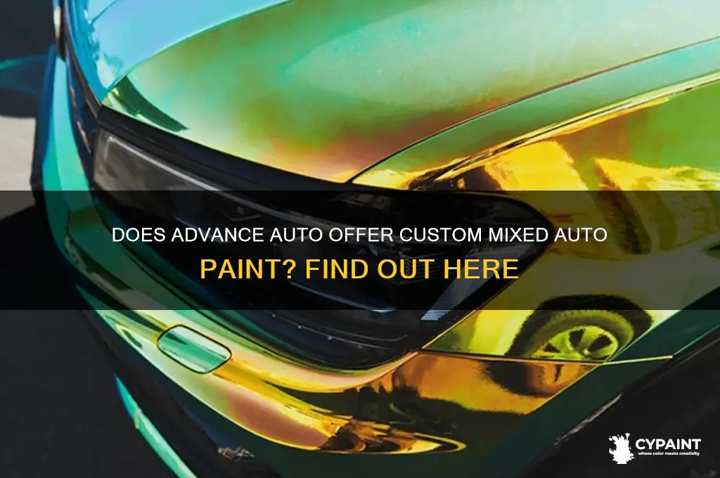 Does Advance Auto Offer Custom Mixed Auto Paint? Find Out Here | CyPaint