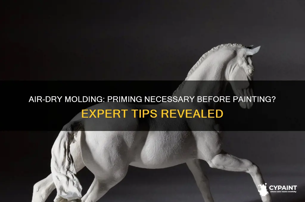 Air-Dry Molding: Priming Necessary Before Painting? Expert Tips ...