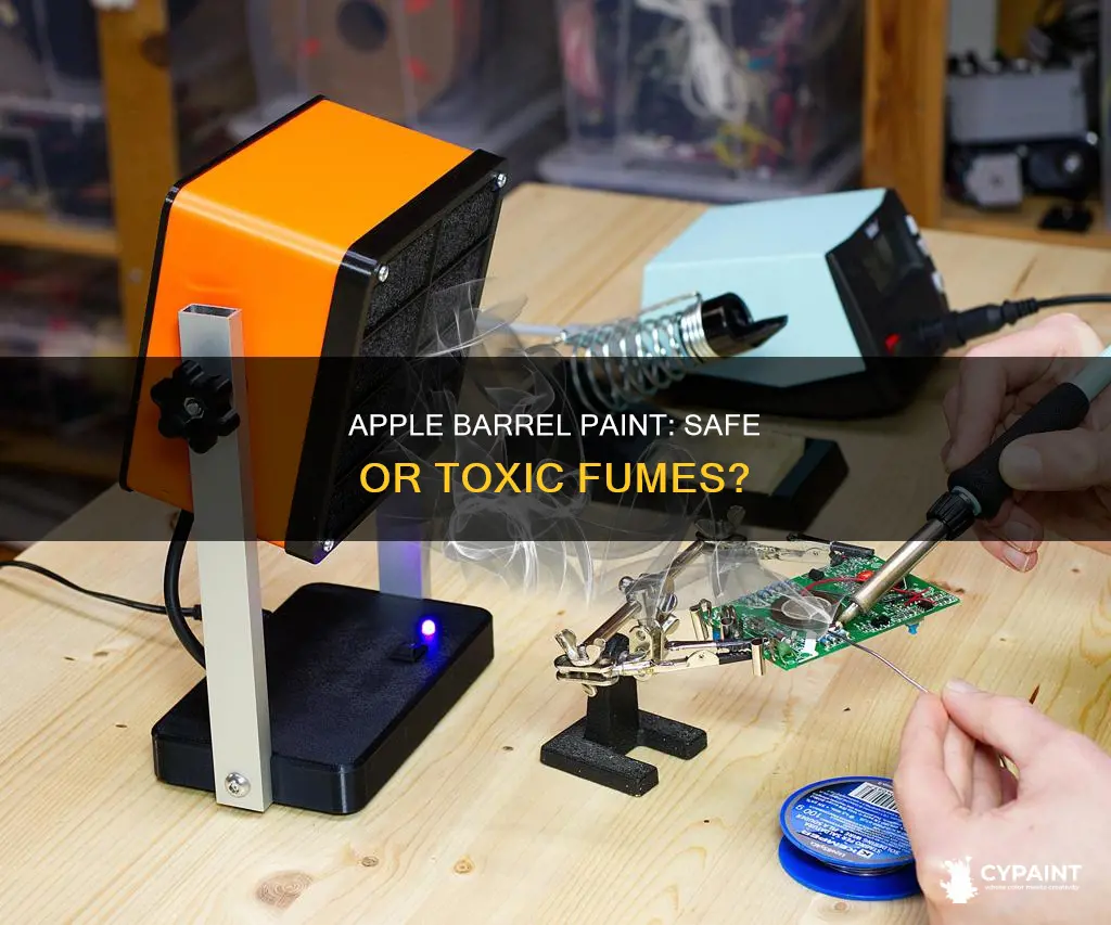 Apple Barrel Paint: Safe Or Toxic Fumes? | CyPaint